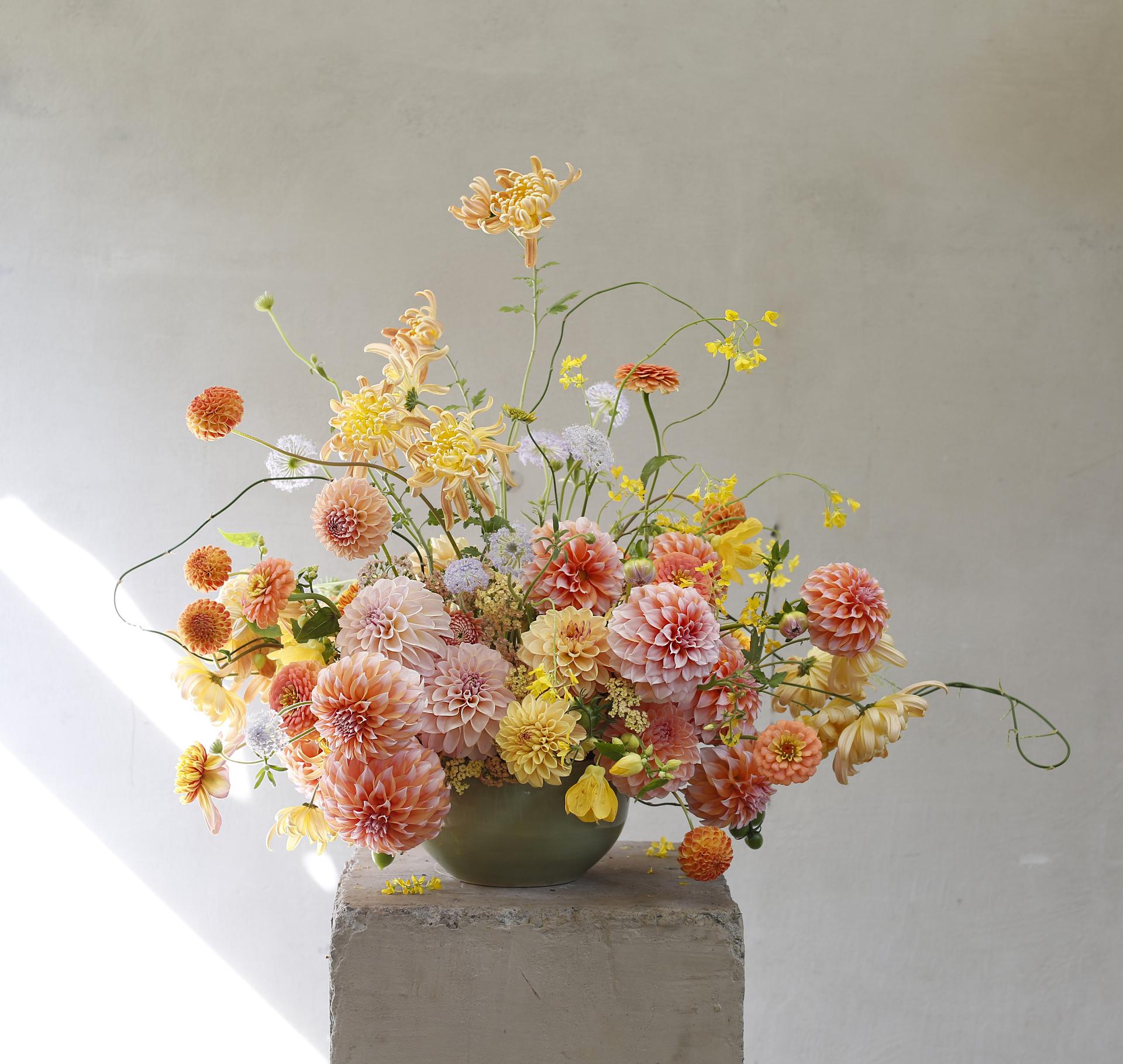 La Musa de las Flores y Wagner Kreusch, confirmaciones para FLORA 2025